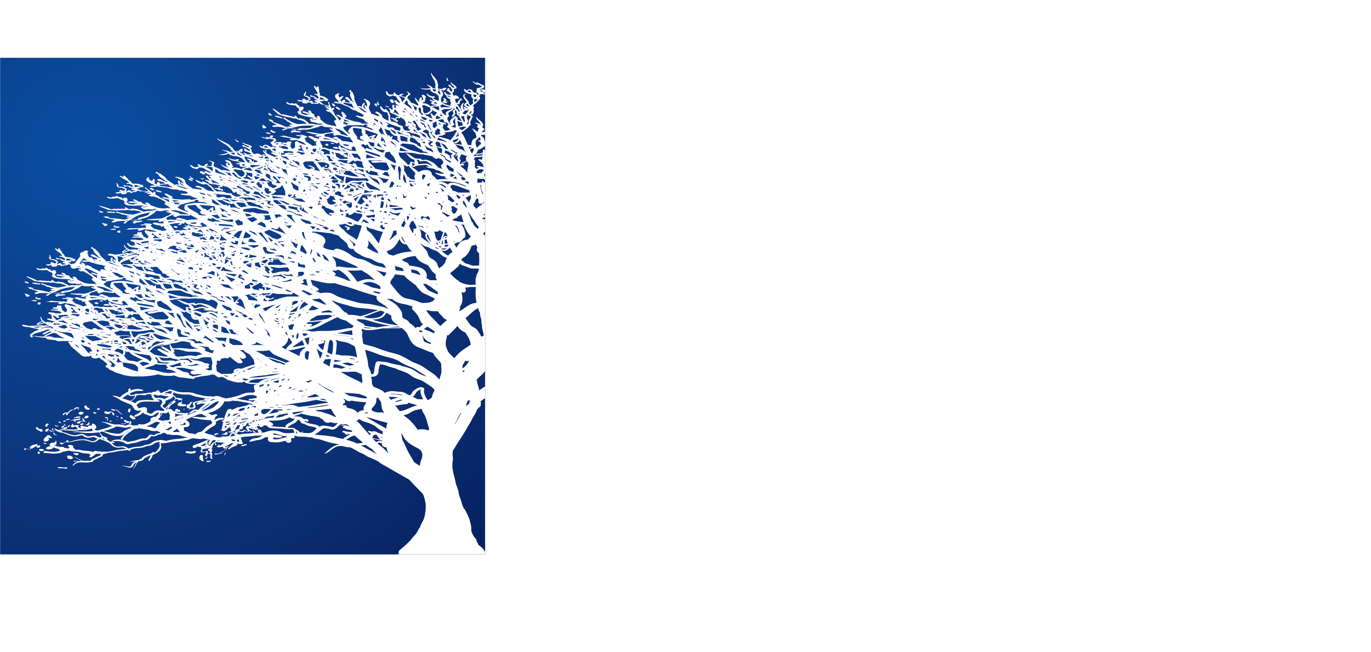 Smart Insurance Group